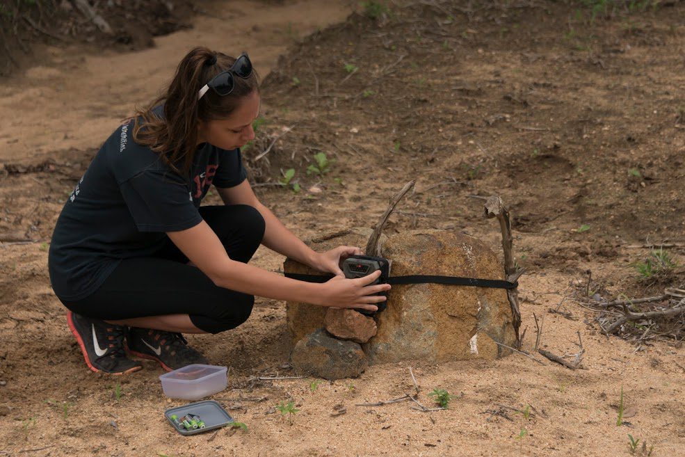 Wildlife Conservation Volunteer Programs in Africa | African Impact