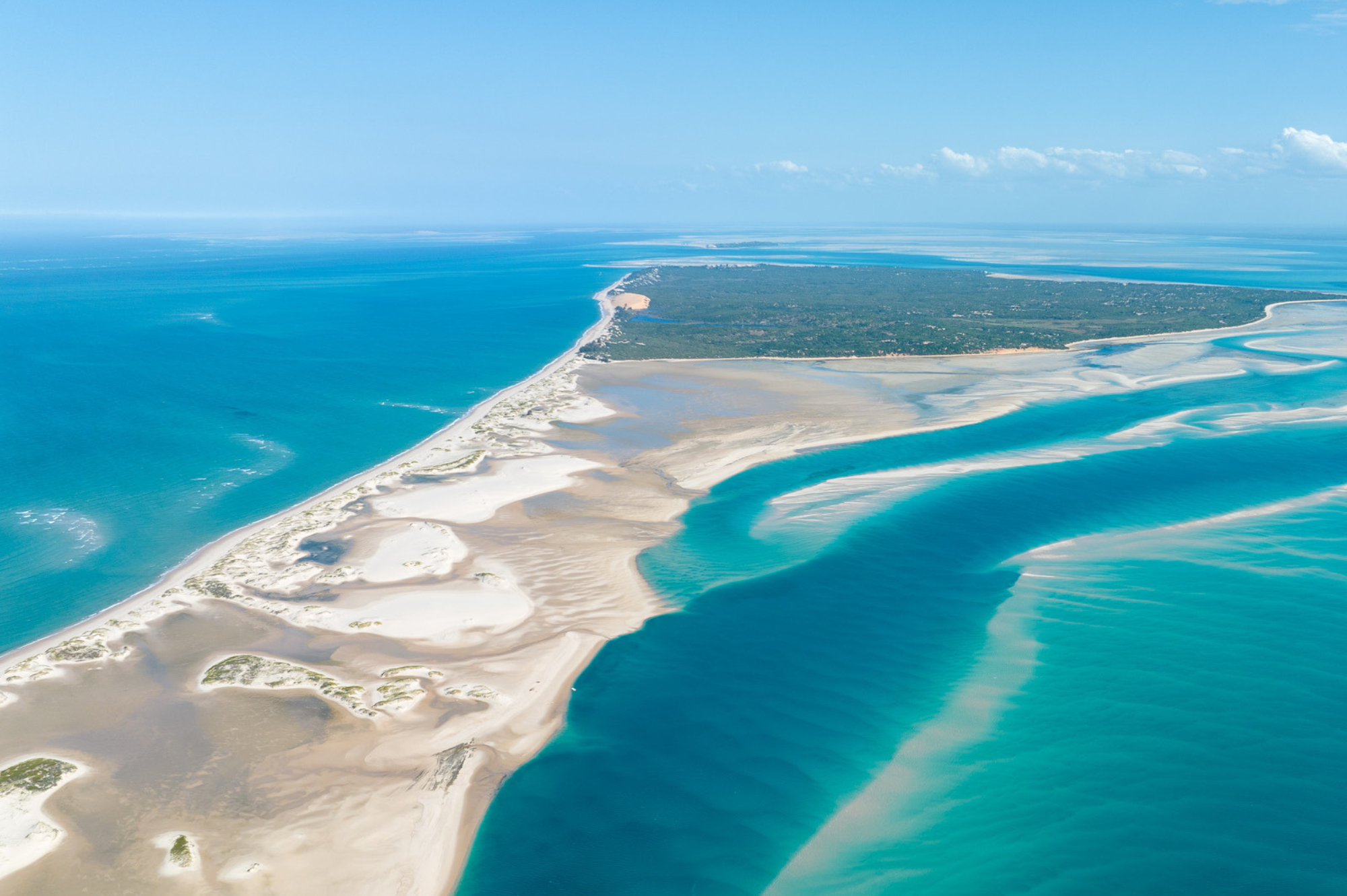 Volunteer in Africa | Projects & Charity Work - African Impact