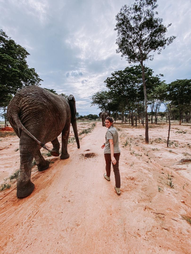 Horse Riding, Elephant & Rhino Conservation in Zimbabwe