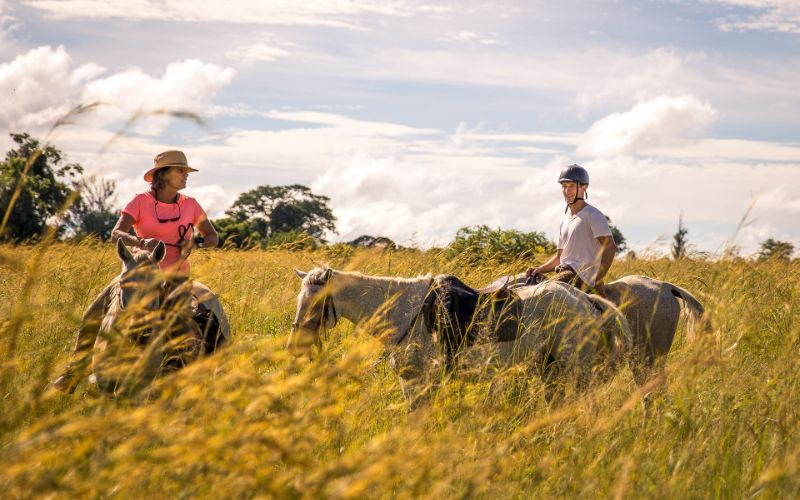 Horse Riding, Elephant & Rhino Conservation in Zimbabwe