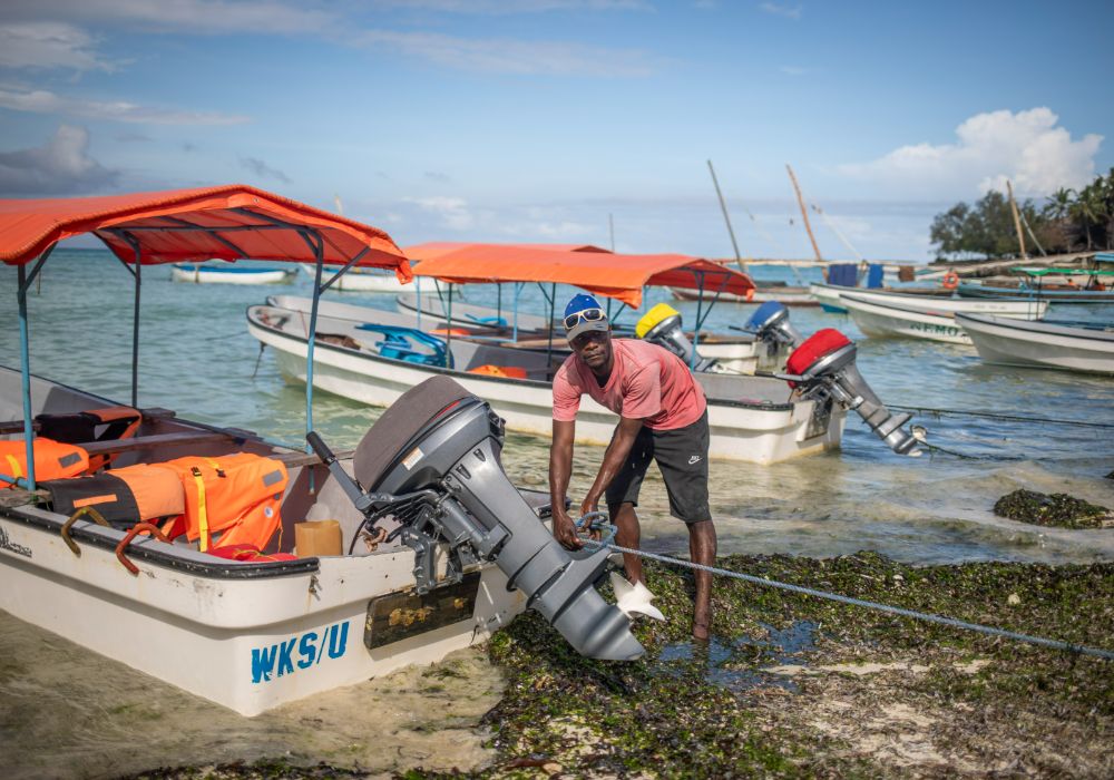 Marine Conservation Volunteer Projects in Africa